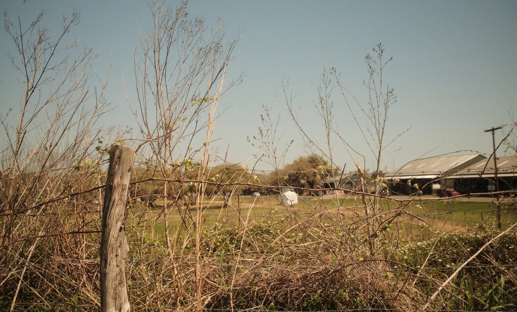 About Us | Marburger Farm